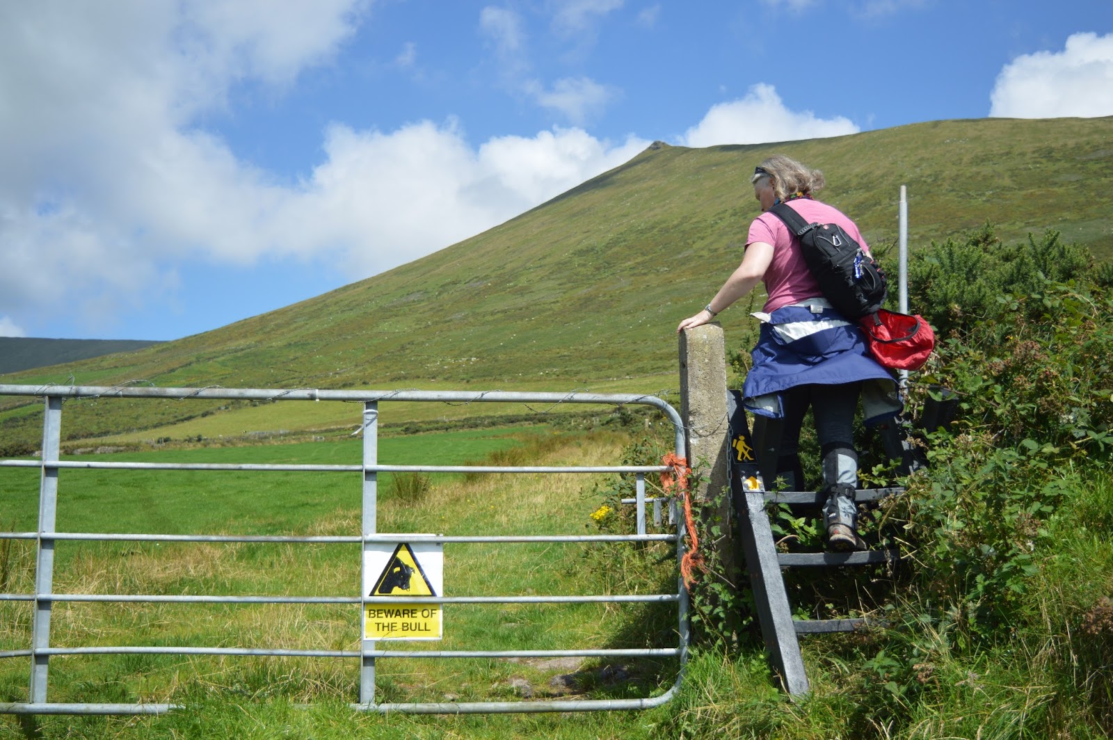 Stranger Feet: part iv: to Dingle (alternate title: poop)