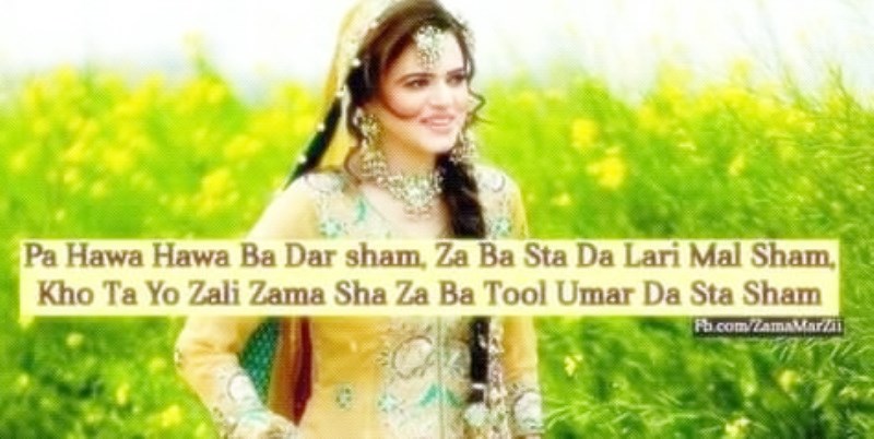 Best Pashto Love Poetry Pictures | Best Urdu Poetry Pics and Quotes Photos