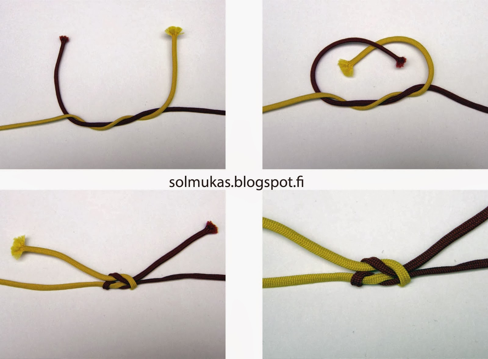 Solmukas: Merimiessolmu ja sen sukulaiset