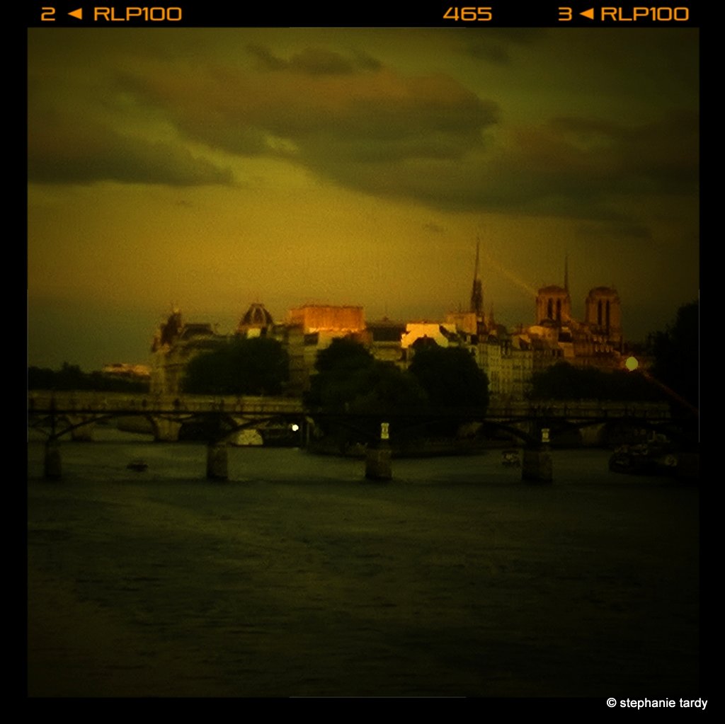 PHOTOGRAPHIES STEPHANIE TARDY