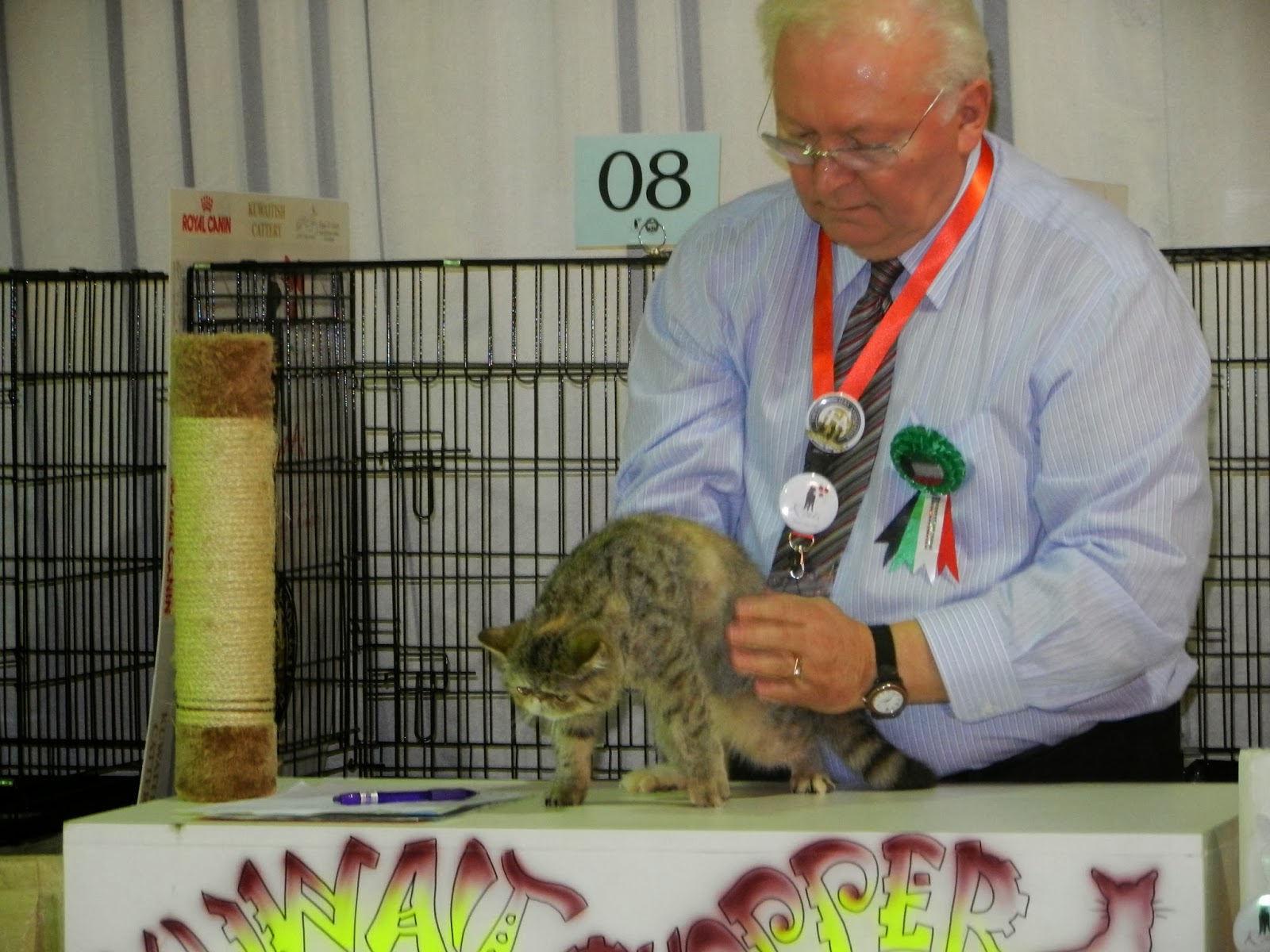 Kuweight 64: KFA CAT SHOW BY KUWAIT CAT CLUB K-CATS