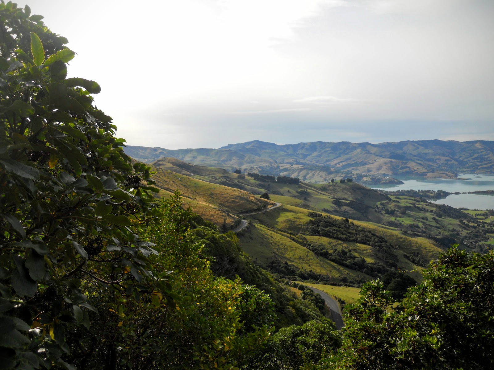 Tramping in the New Zealand backcountry: NZ Bush Adventures: Summit ...