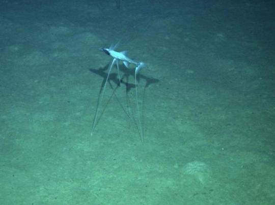 Just Another Static Heart: February 2013