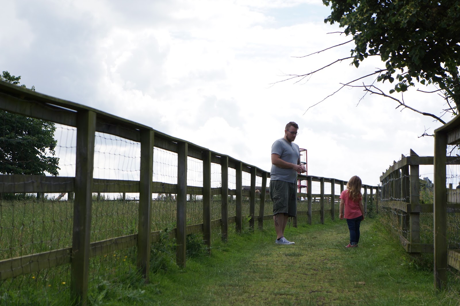 Our sunny day at the Lee Valley Park Farm
