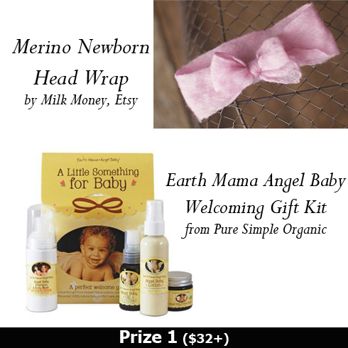Eco-Babyz: Bringing Home Baby Giveaway Hop