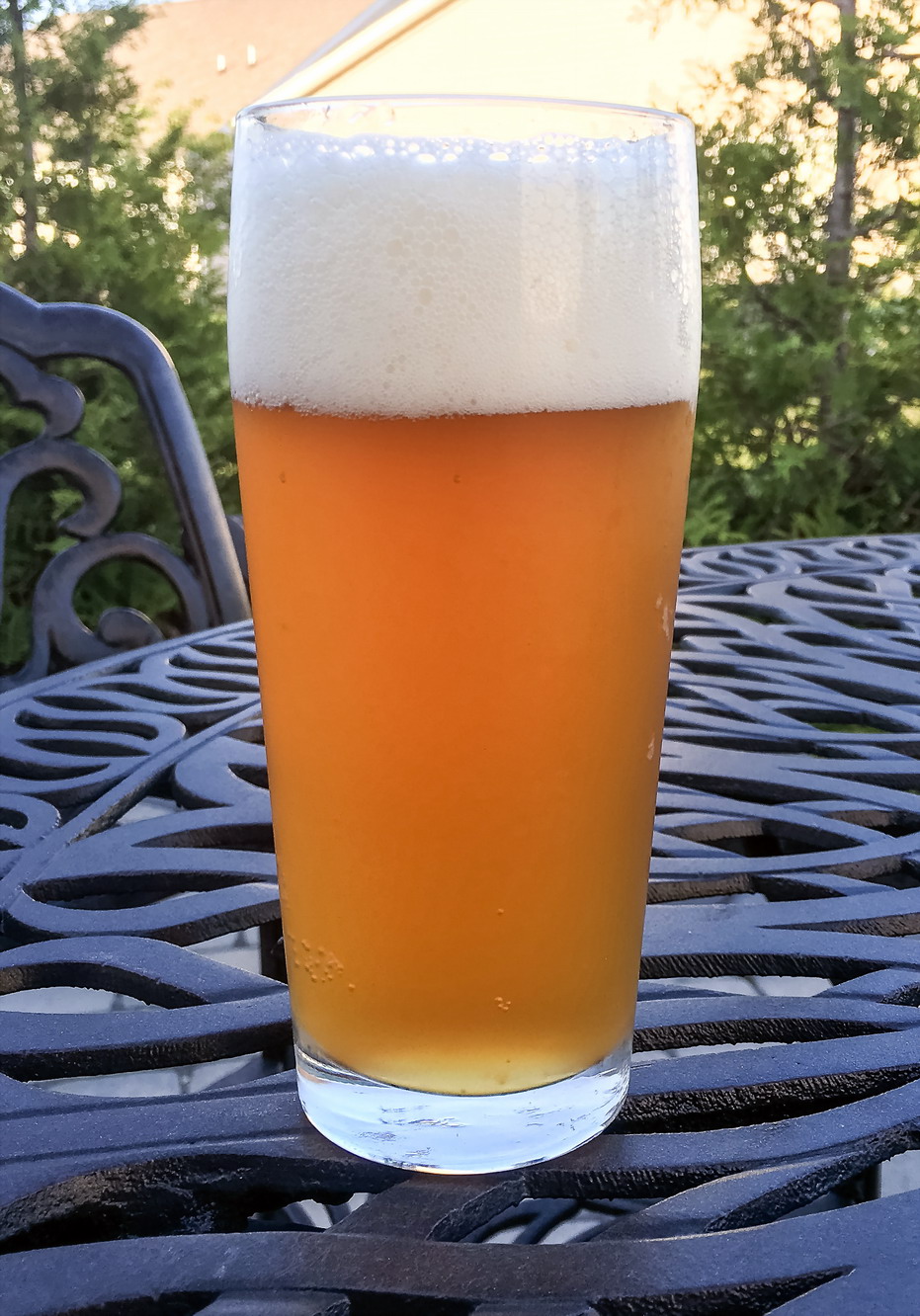 The Screwy Brewer: Brewing A Classic - Screwy's Old Vinyl IPA