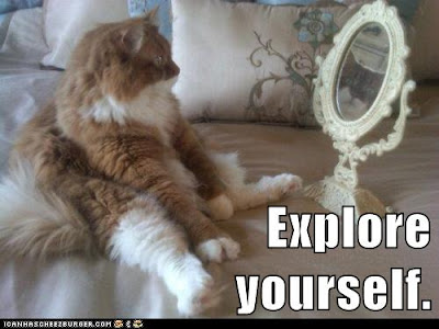 Growth Mindset & Feedback Cats: Explore yourself.