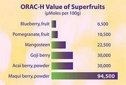 Patagonian Maqui Berry Juice Malaysia, No 1 Antioxidant Superfruit ...