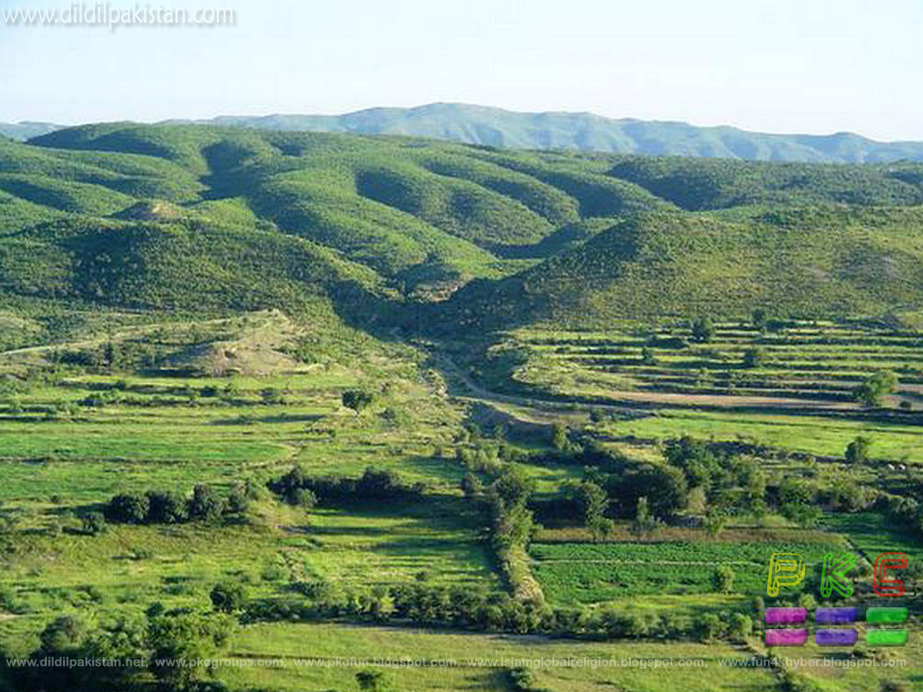 Dil Dil Pakistan: Beautiful Soon Sakesar Valley in Khushab Pakistan