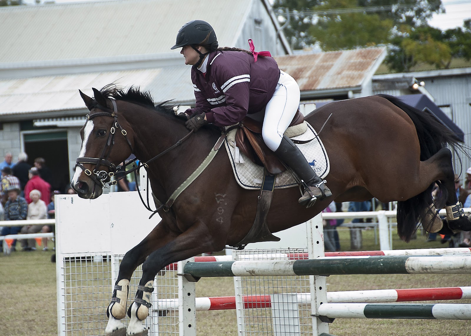 Mt Larcom Agricultural Show