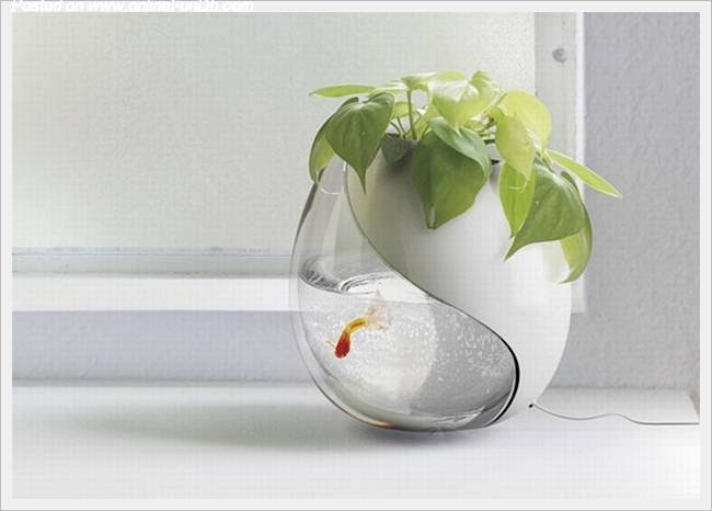 Simply Creative: Creative Fish Bowls