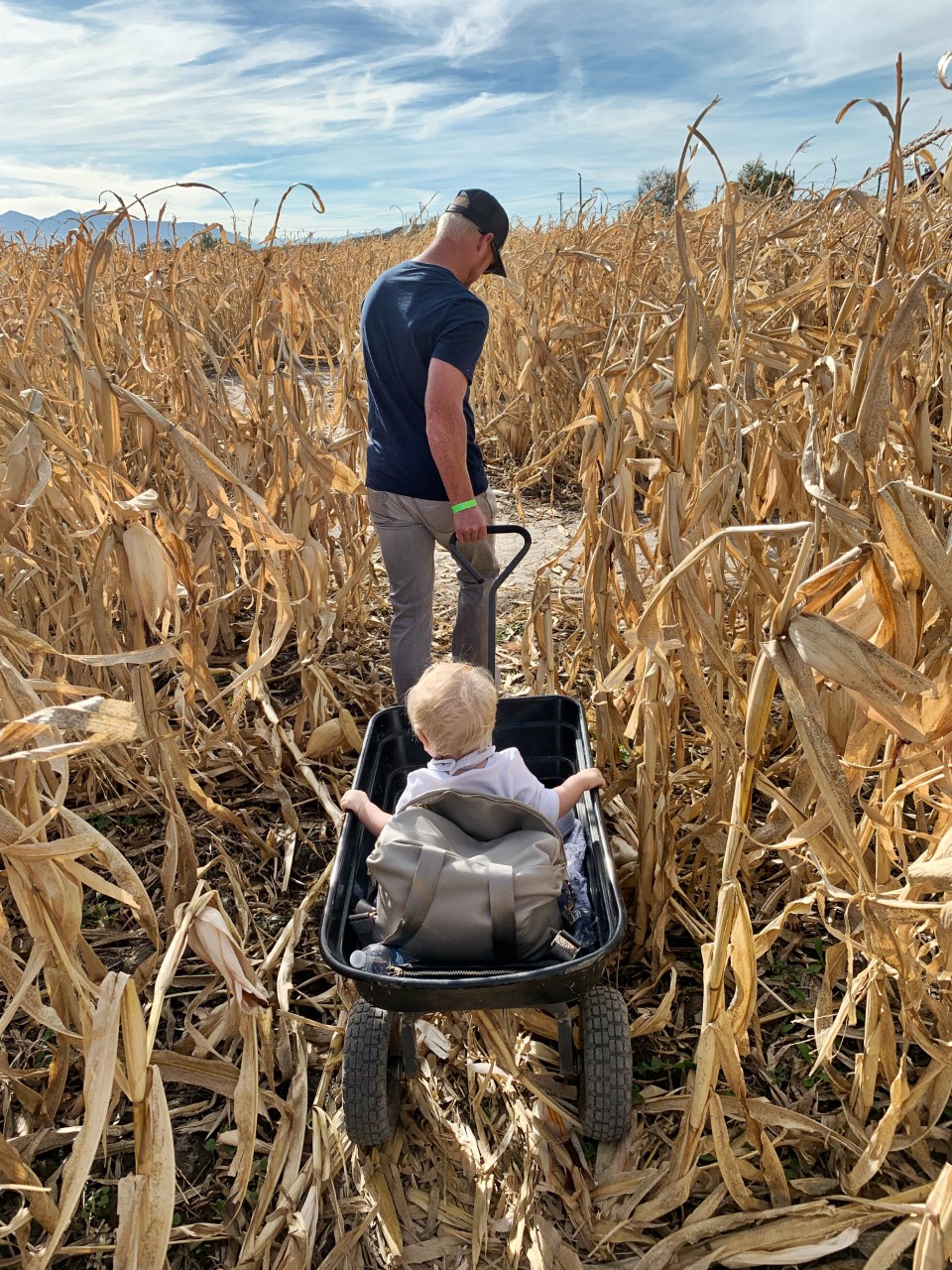 JavaScript is currently disabled in this browser. Reactivate it to view ...