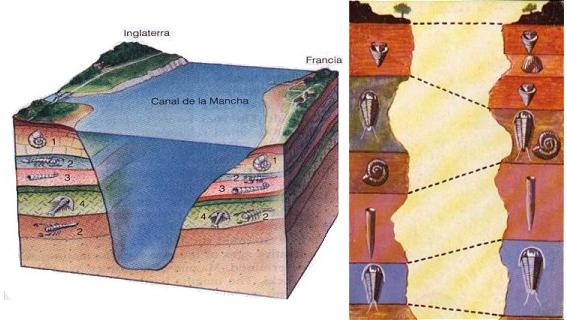 Paleontología: 2. Dataciones