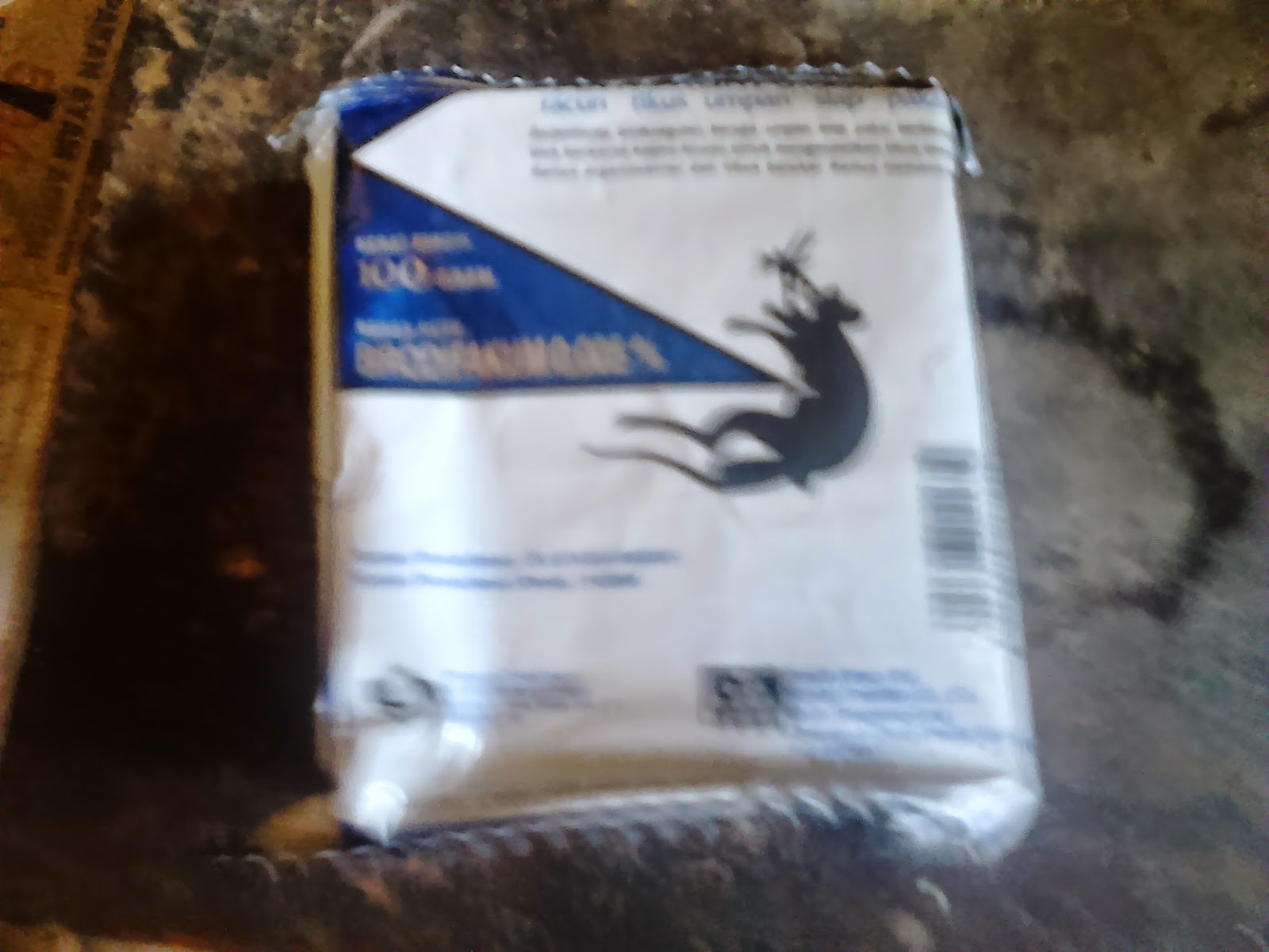 RACUN TIKUS (RODENTISTDA)