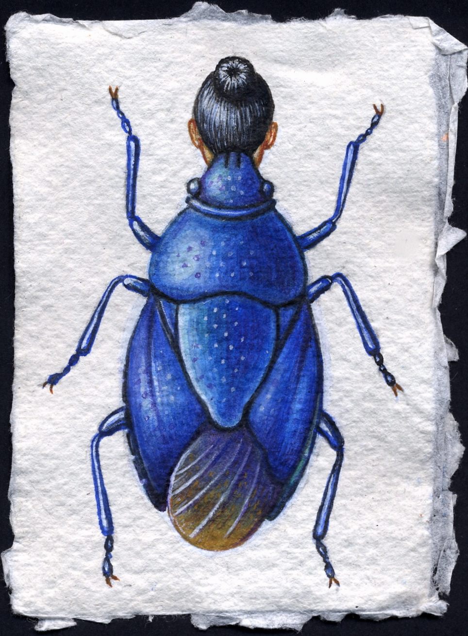 Deborah Klein's Art Blog: More exhibits for a Wonder Room: Insect Women