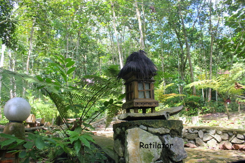 Camp Site @ El Sanctuary, Lendu