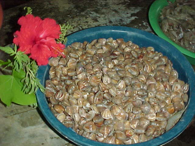 El Museo va a la Escuela: El Guacuco