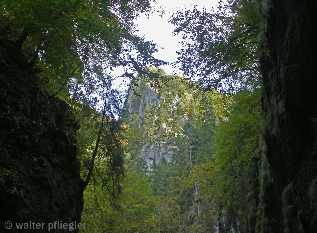 Nature photos from an Amateur Naturalist: Bihor Mountains, Romania ...