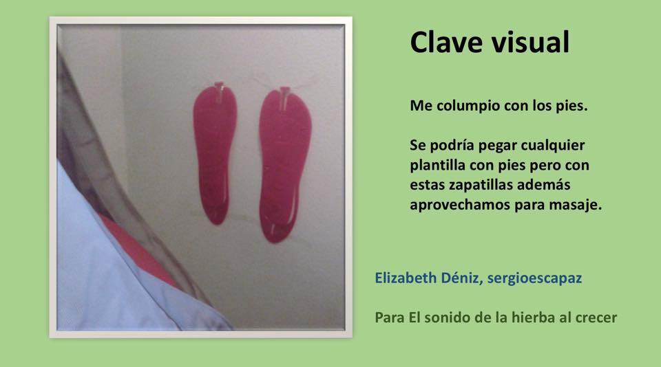 Ejemplos de usos de claves visuales - El Sonido de la hierba al crecer