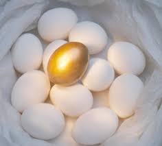 English Story Collection: #022 The Golden Egg