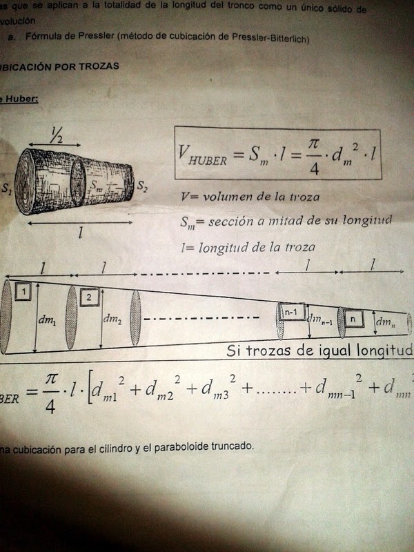 Paisajes y Rutas en Galicia: Dasometría