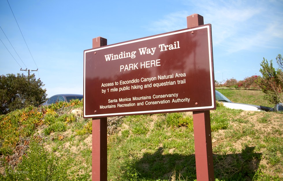 Winding Way Trail Hike - a popnea blog