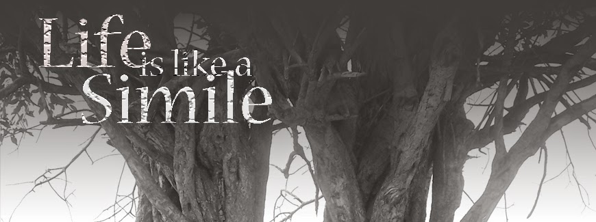 Life is like a simile