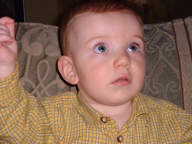 Ideas For Early Childhood: Baby Preschool Lesson Plan