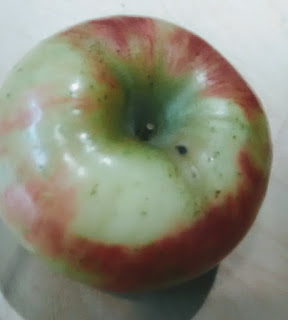 Jonathan Brett Kirschner