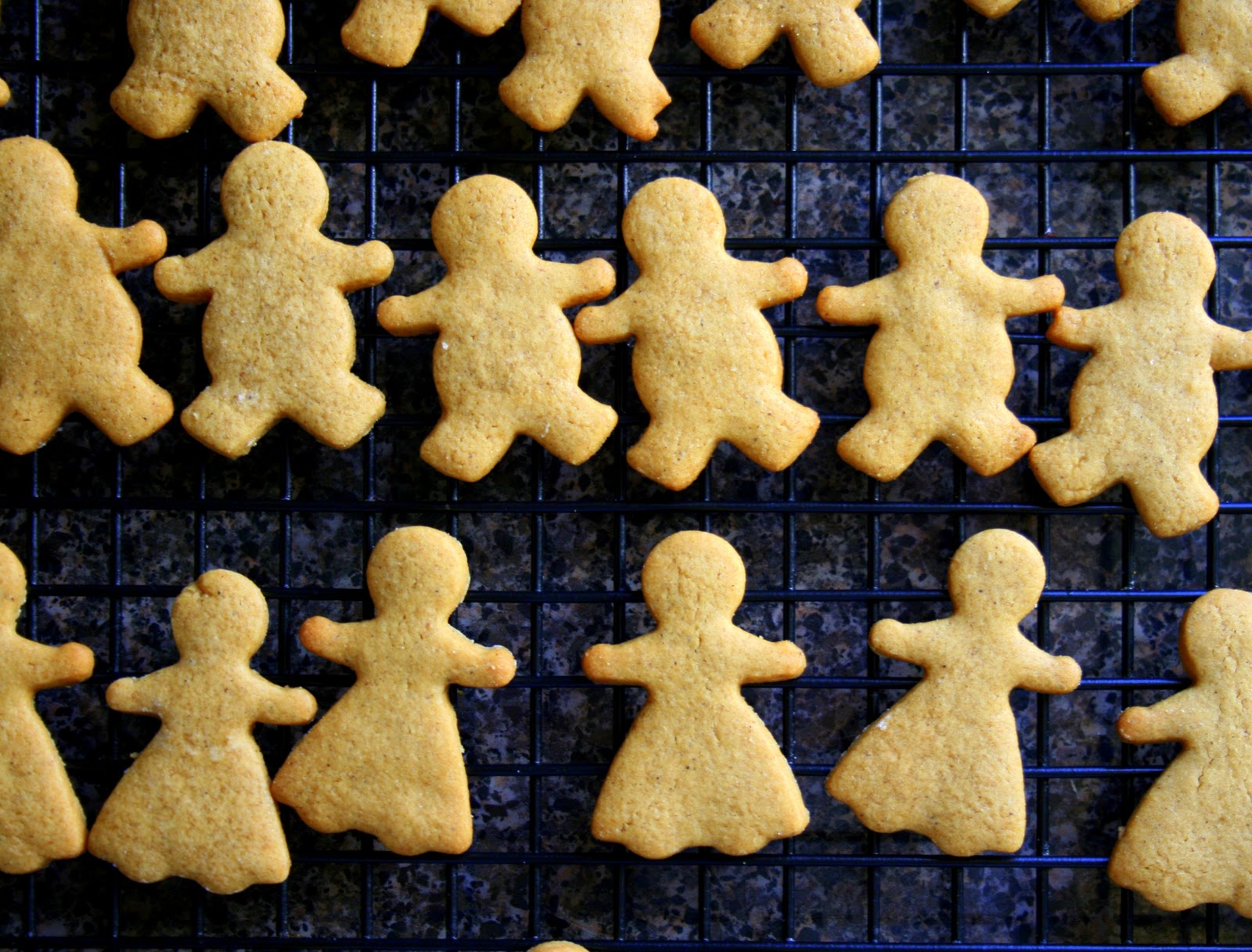BREANNA'S RECIPE BOX: Gingerbread Boy Cookies