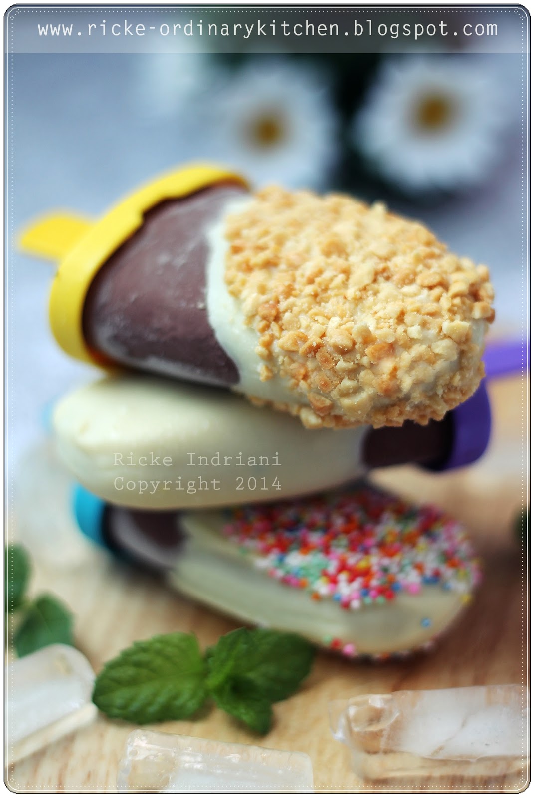 Just My Ordinary Kitchen...: HOMEMADE CHOCOLATE POPSICLES (CHOCOLATE ...