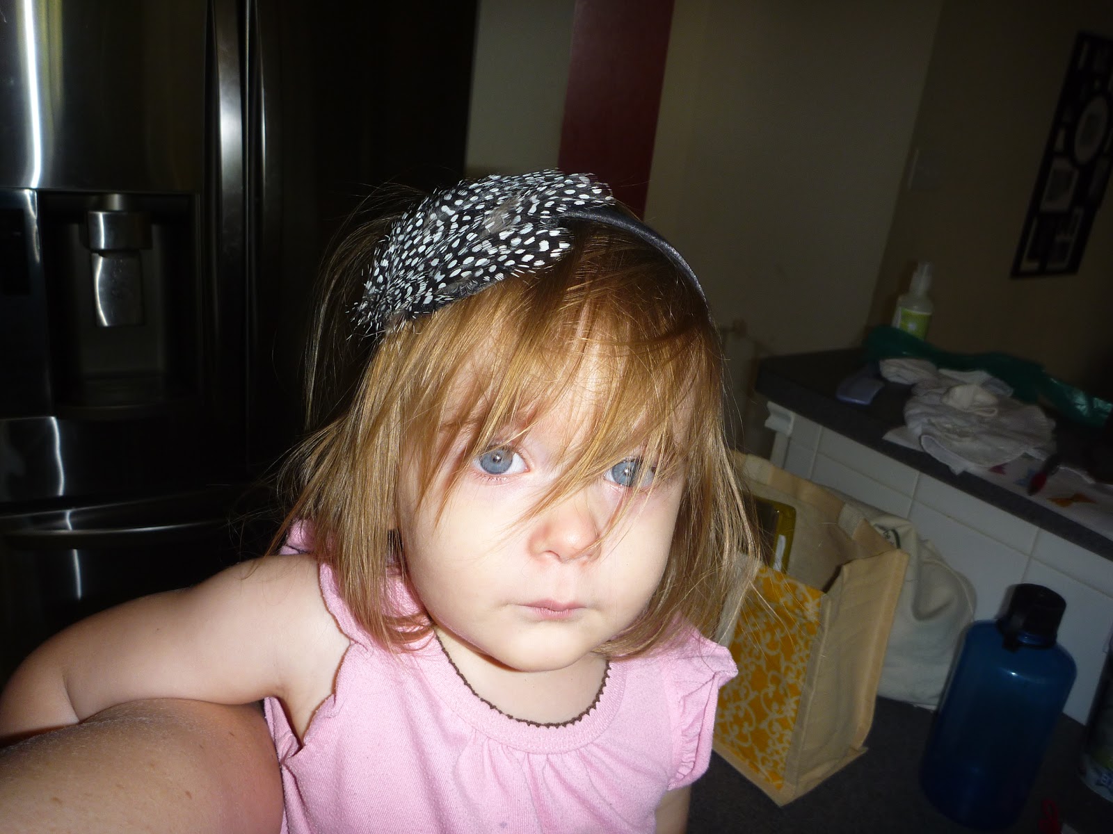 The Dietz-Neals: Where have we been!?!?