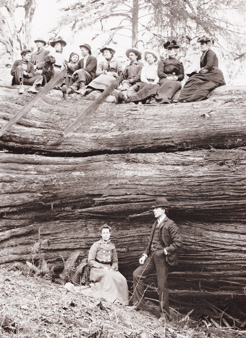 Amazing Vintage Photographs Document Logging and Lumber Activities in ...