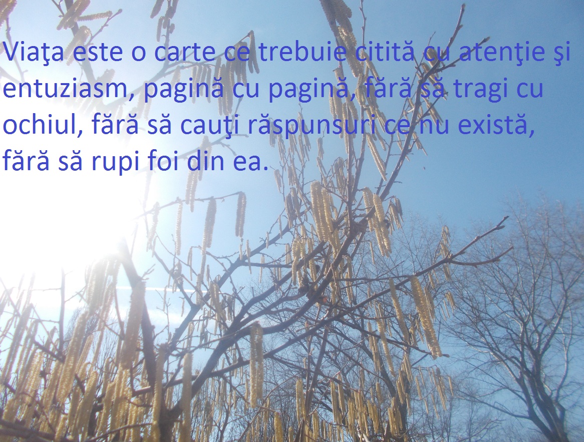 IUBESC VIATA: Despre viata