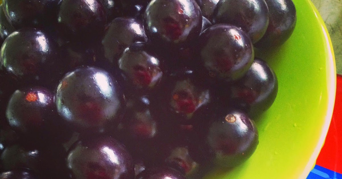 Tropical Homestead: Jaboticaba Ginger Calamansi Marmalade