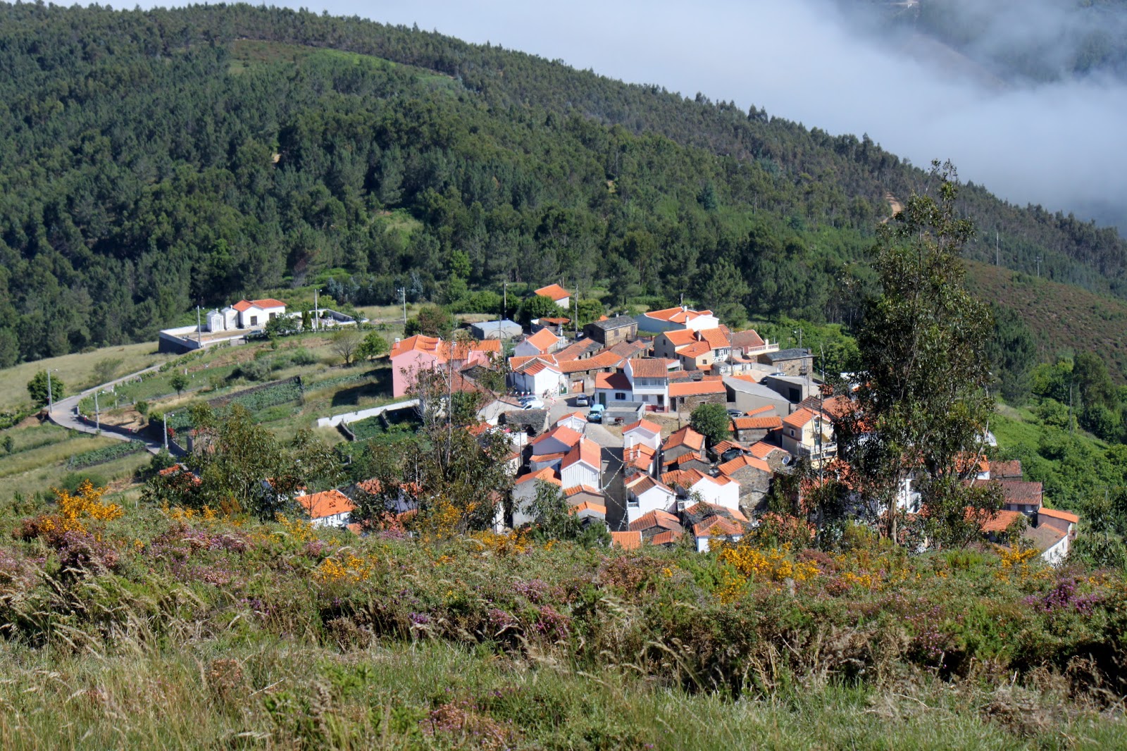 União e Progresso do Carvalhal: Carvalhal