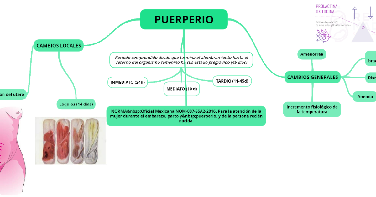 PUERPERIO FISIOLOGICO (Cunninham.(2015), Williams Obstetricia), México ...