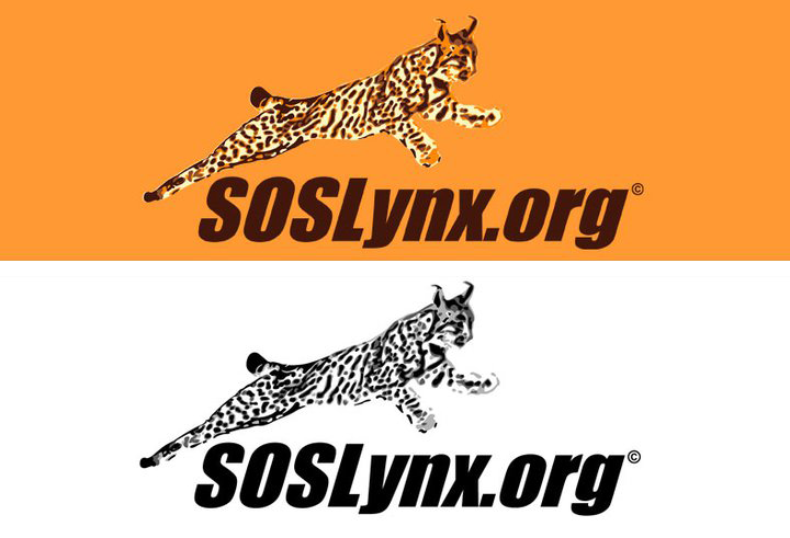 DESHOK HOME - Website and digital design agency for AEROSPACE and ...