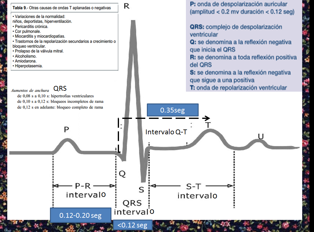PORTAFOLIO DIGITAL DE EVIDENCIAS PARA EL APRENDIZAJE DE FISIOLOGÍA ...