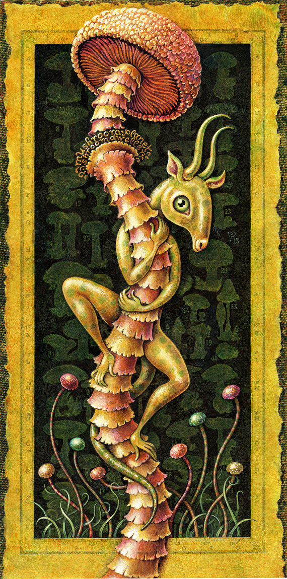 Mushroom Drawings - The Magic Art of Mushrooms