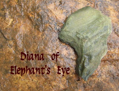 The Koos Malgas legacy at the Owl House