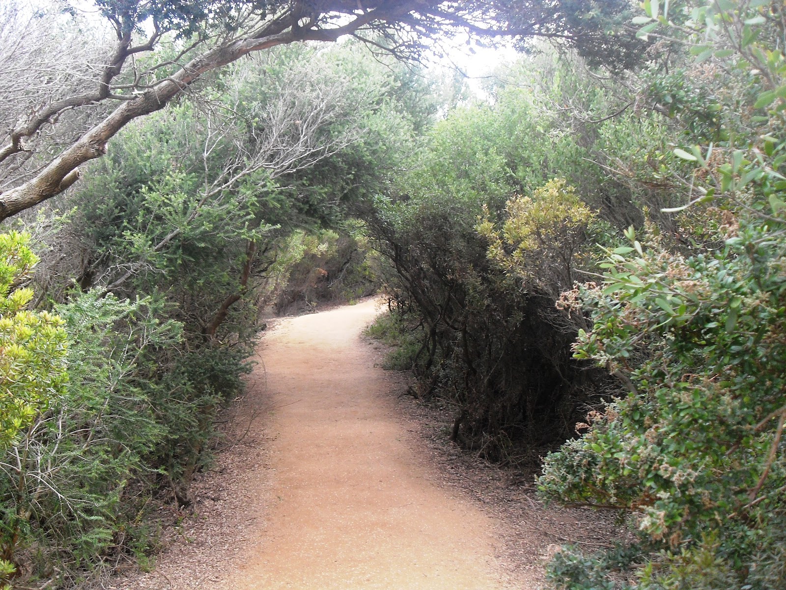 Hung Up On Retro: Split Point Lighthouse & Stables