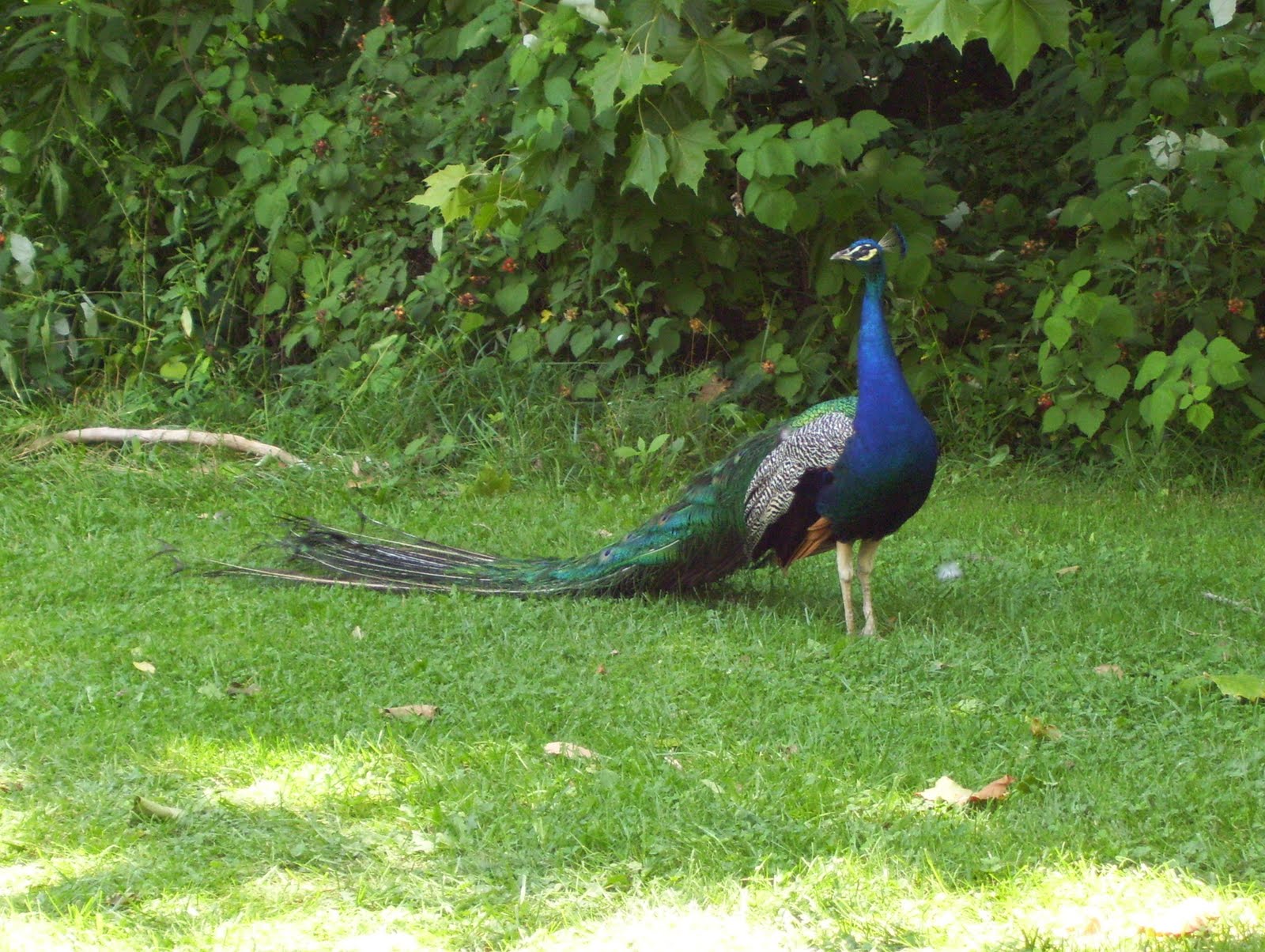 The Art of Positive Living: Farmhouse Gallery & Gardens