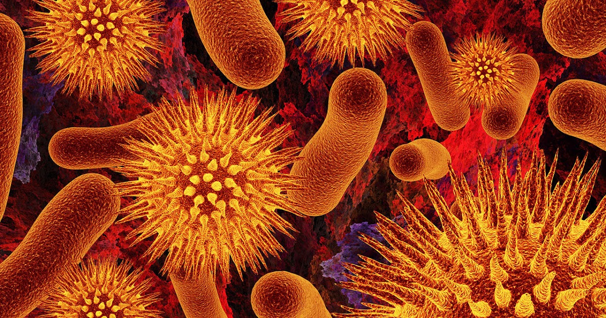 Some Facts about Bacteria You Should Know | Rabin Pahari - Your ... Some Facts about Bacteria You Should Know | Rabin Pahari - Your ...