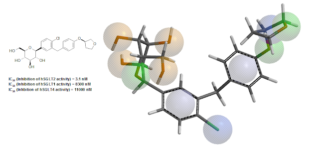 Modern Medicines: Empagliflozin | Sodium-Glucose Co-Transporter 2 ...
