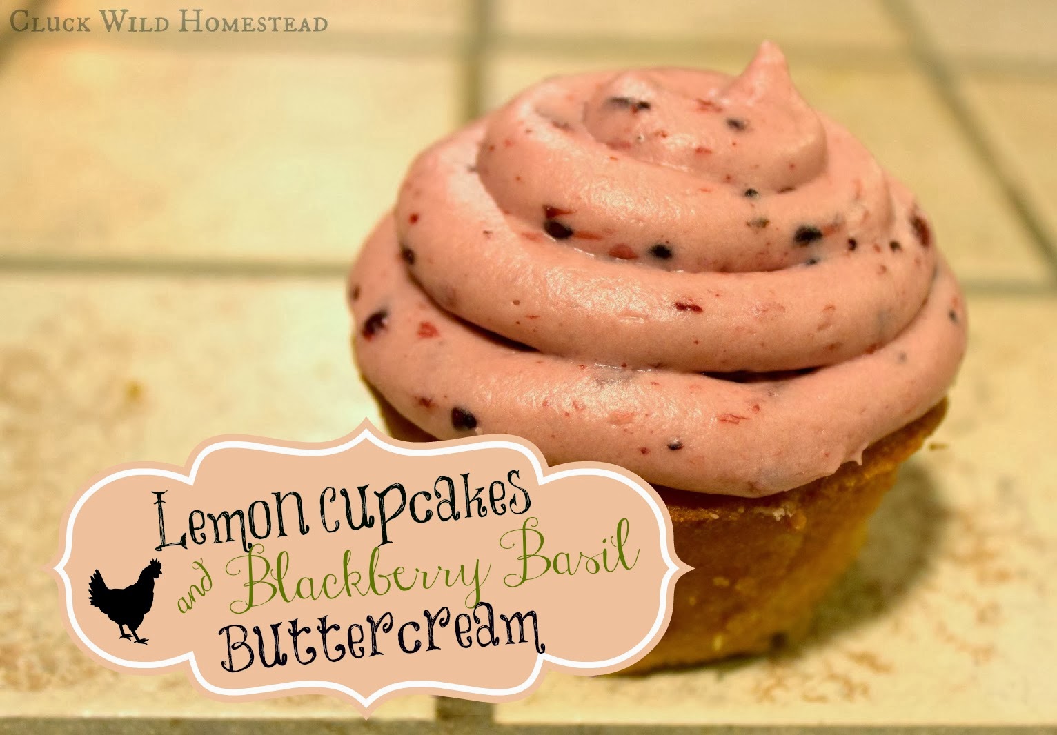 Cluck Wild Homestead Lemon Cupcakes With Blackberry Basil Buttercream