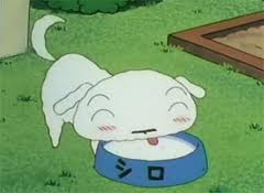 Series y digujos de los 90 y mas: Crayon Shin Chan