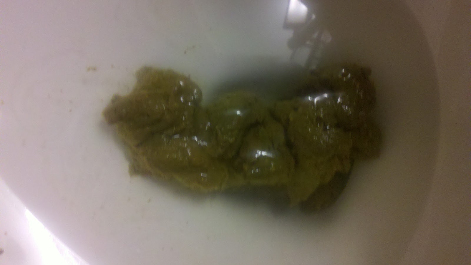 My Daily Poo: 2011