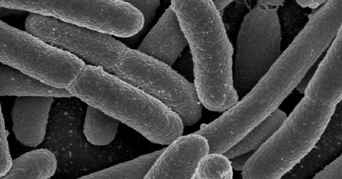 French Vocabulary Illustrated: infime