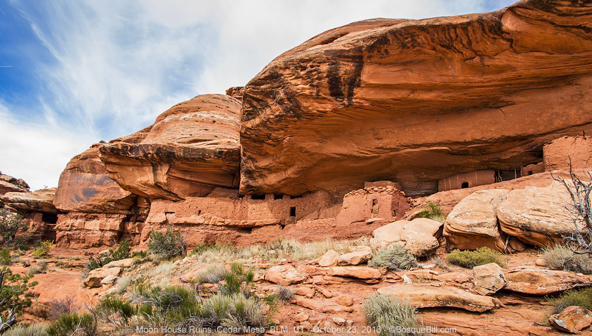 Bosque Bill's Backroads: Moon House Ruins, Cedar Mesa, Utah - October ...